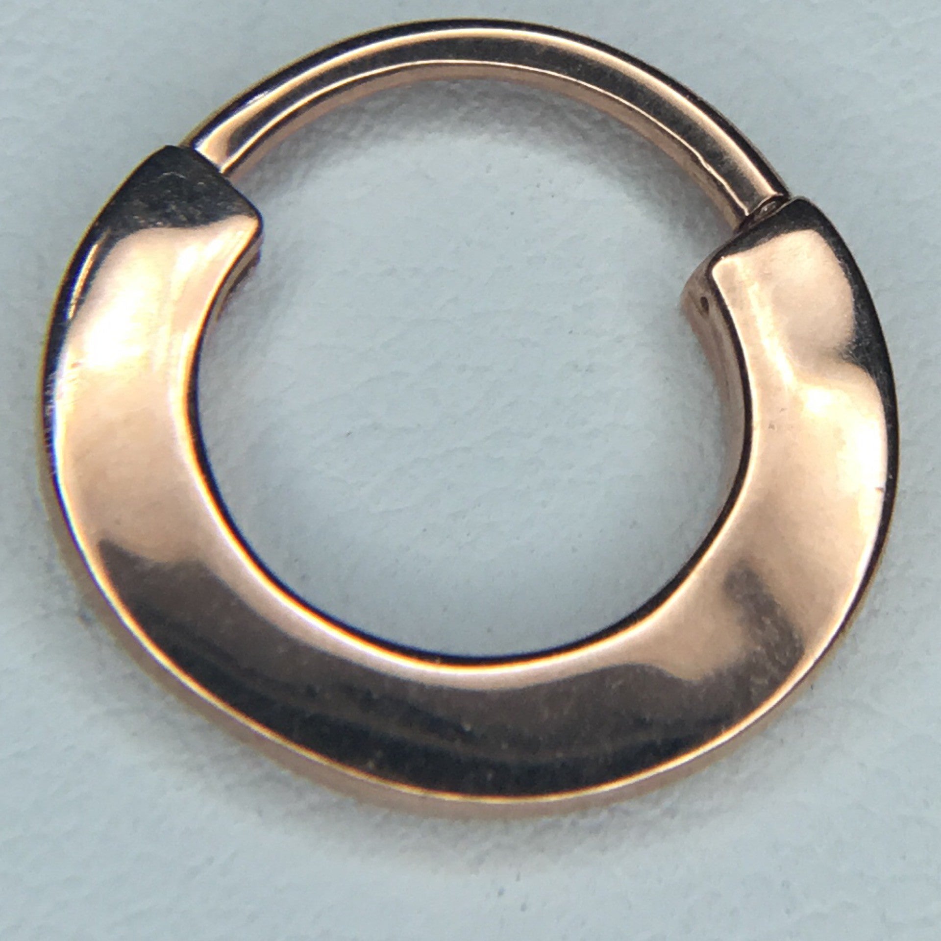 Circle Hinge Ring 16g 3/8 RG LeRoi | Bloom Body Art